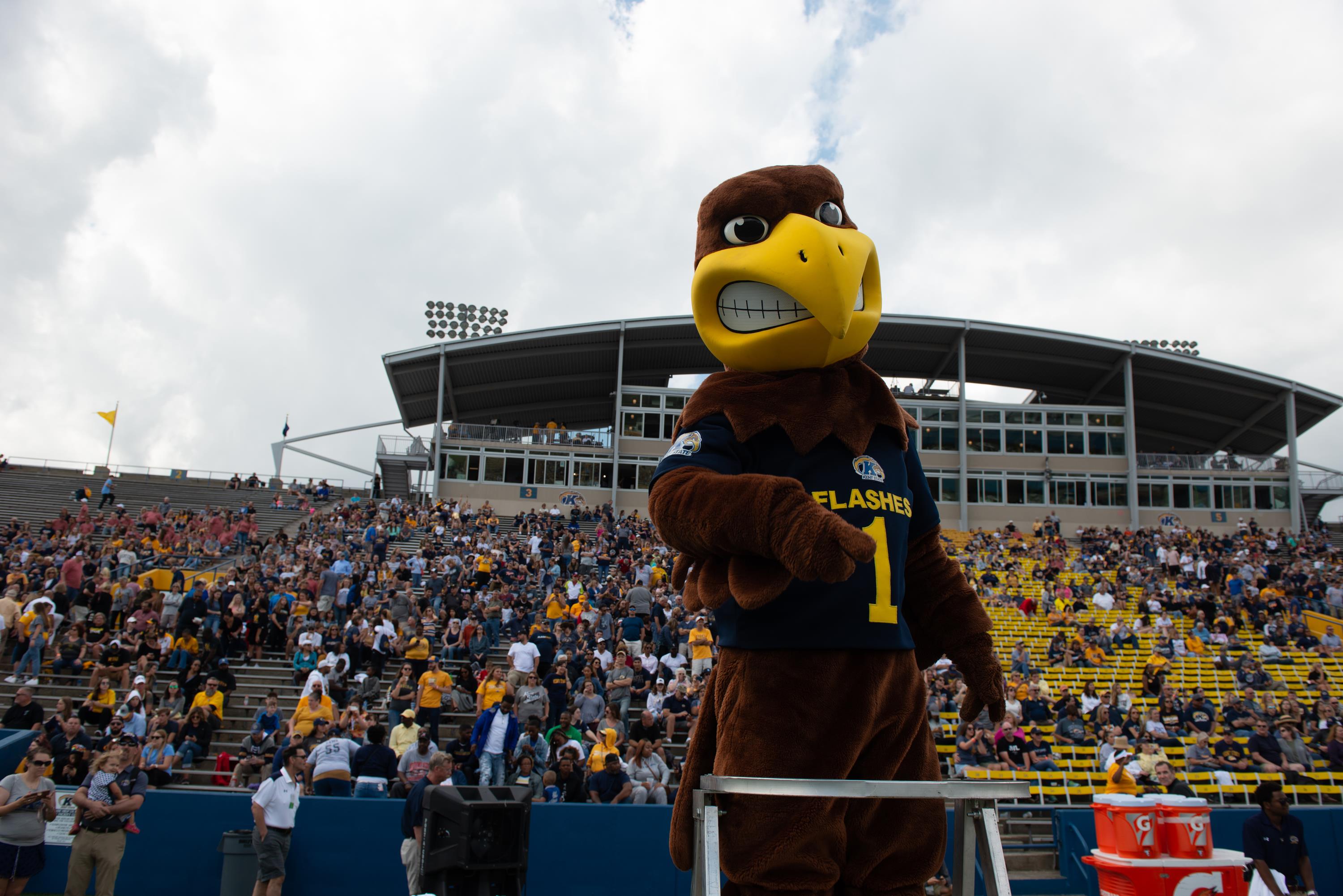 Cheer and Dance Team Tryouts Move Online - Kent State Golden Flashes