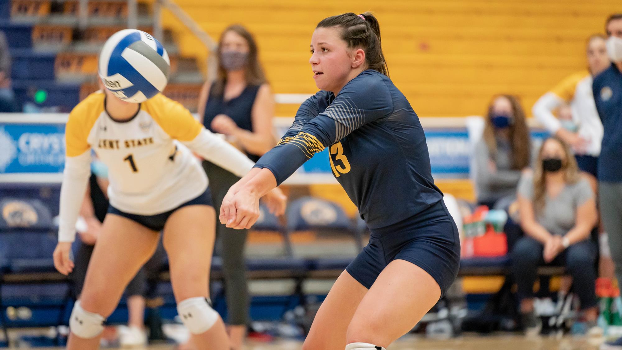 Erin Gibson Voleibol