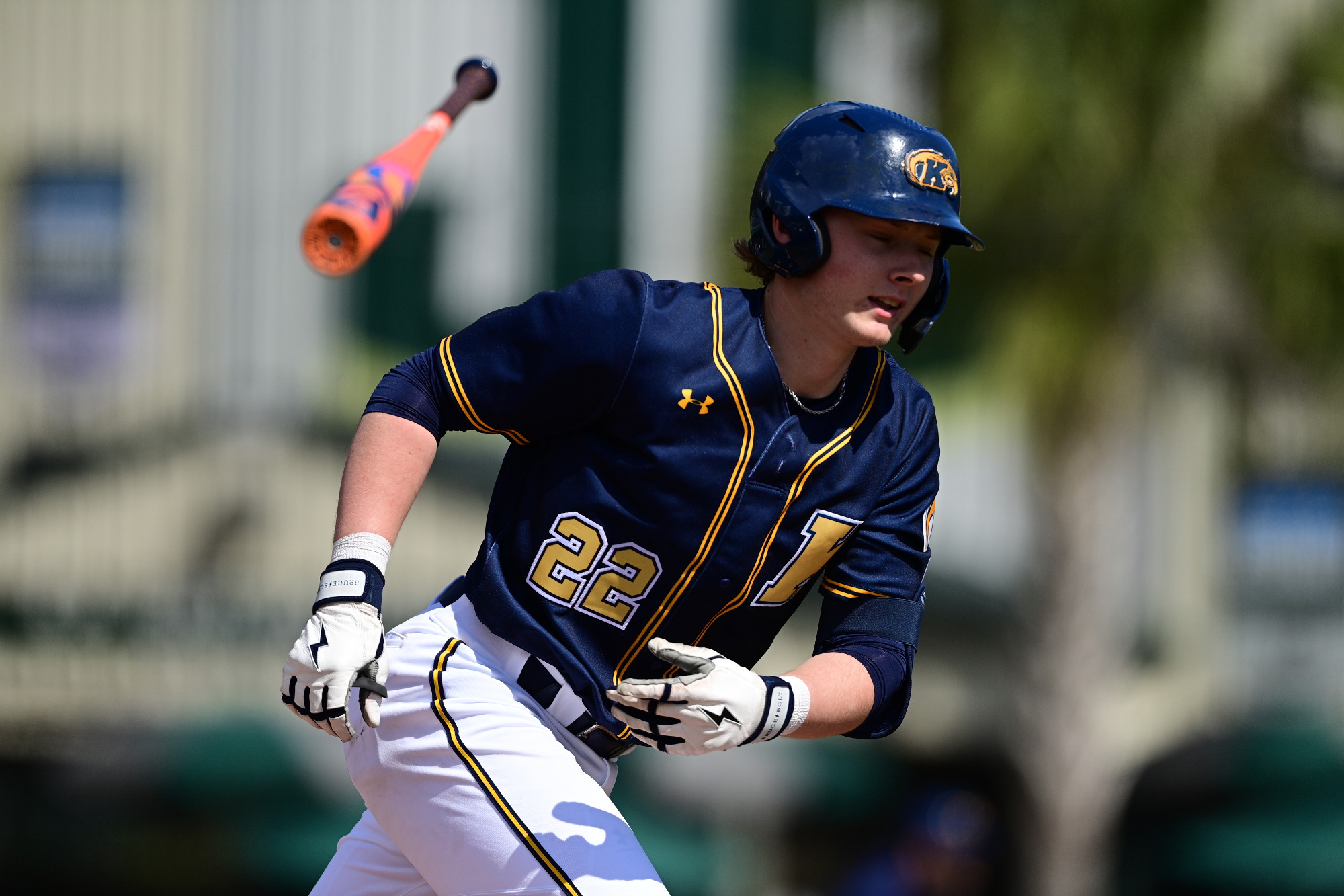 Brody Williams - Baseball - Kent State Golden Flashes