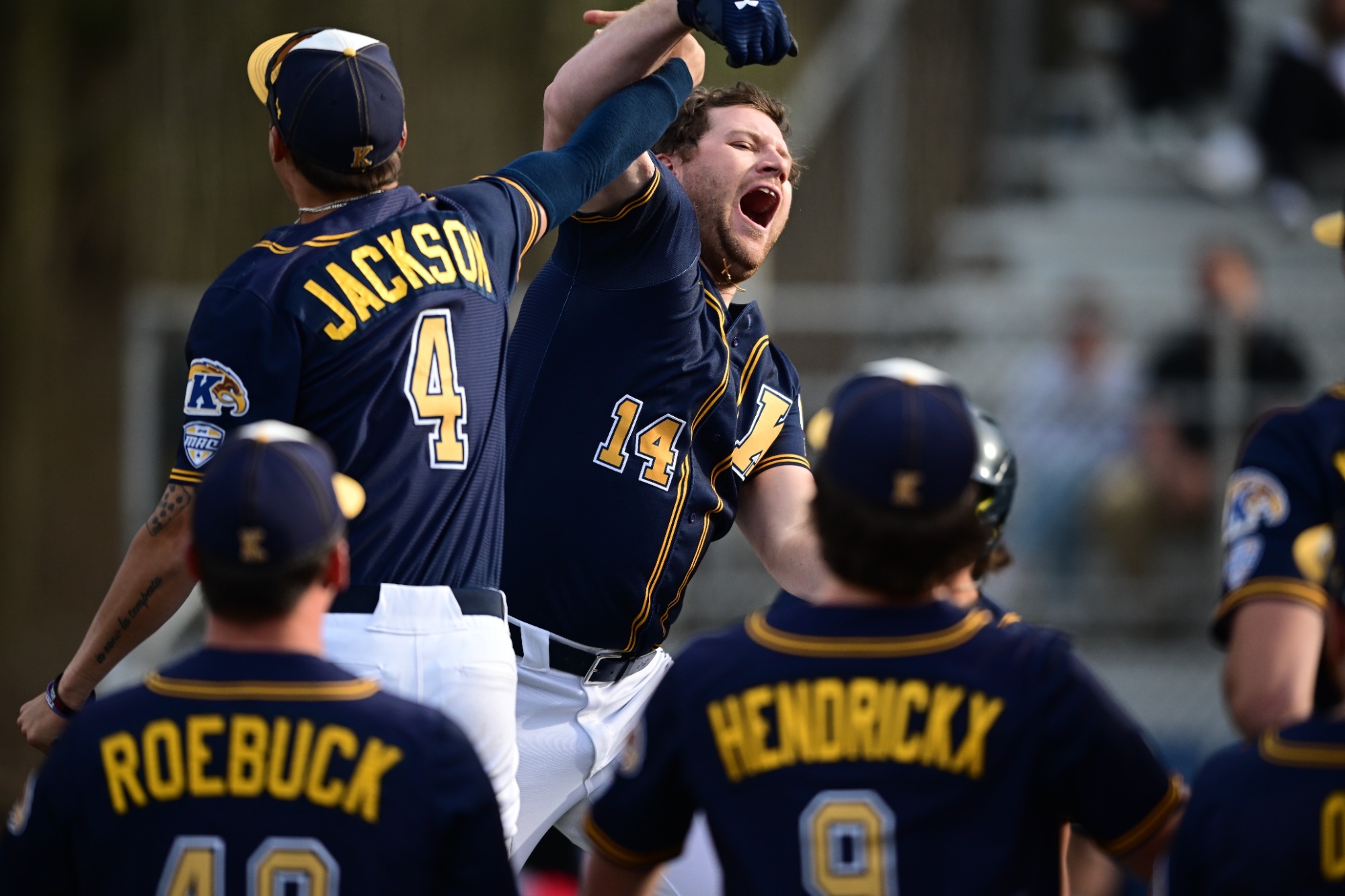 Kyle Jackson - Baseball - Kent State Golden Flashes