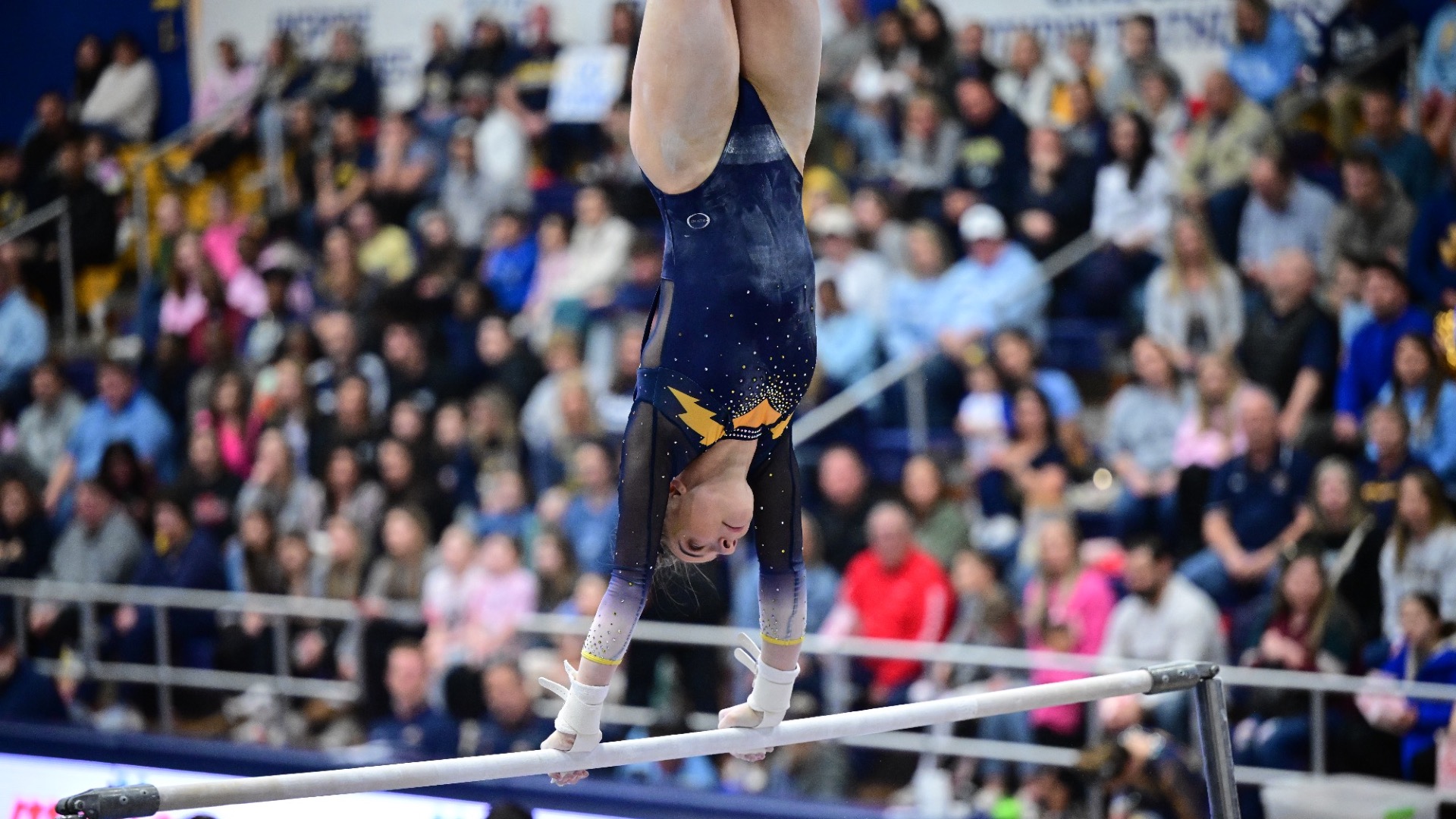 Sarah Haxton - Gymnastics - Kent State Golden Flashes