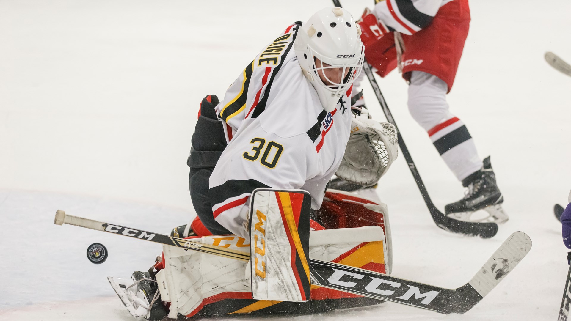 Brandon Daigle - Men's Ice Hockey - King's College Athletics