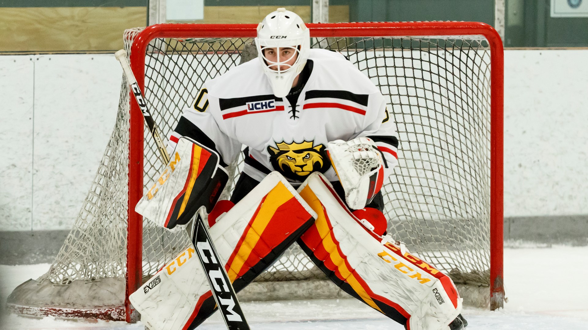 Brandon Daigle - Men's Ice Hockey - King's College Athletics