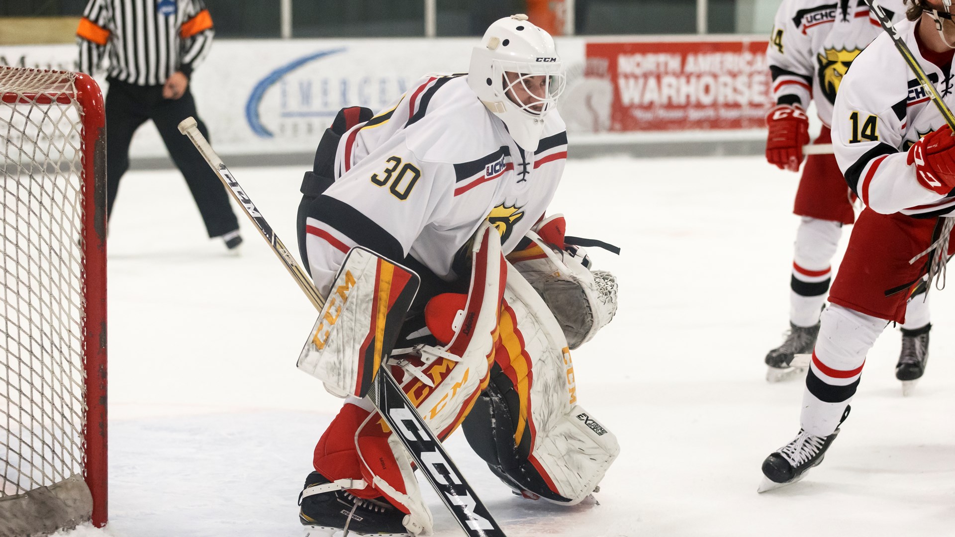 Brandon Daigle - Men's Ice Hockey - King's College Athletics