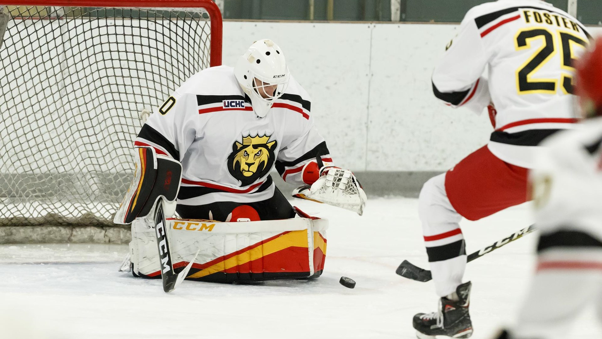Brandon Daigle - Men's Ice Hockey - King's College Athletics