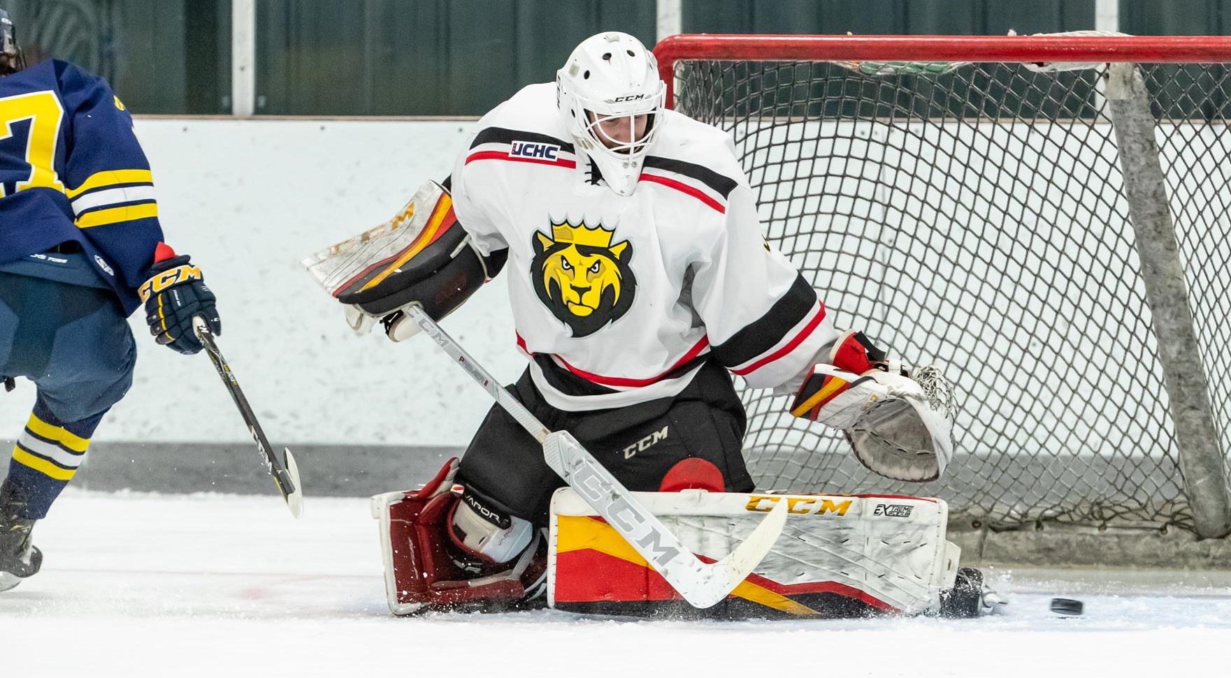 Brandon Daigle - Men's Ice Hockey - King's College Athletics