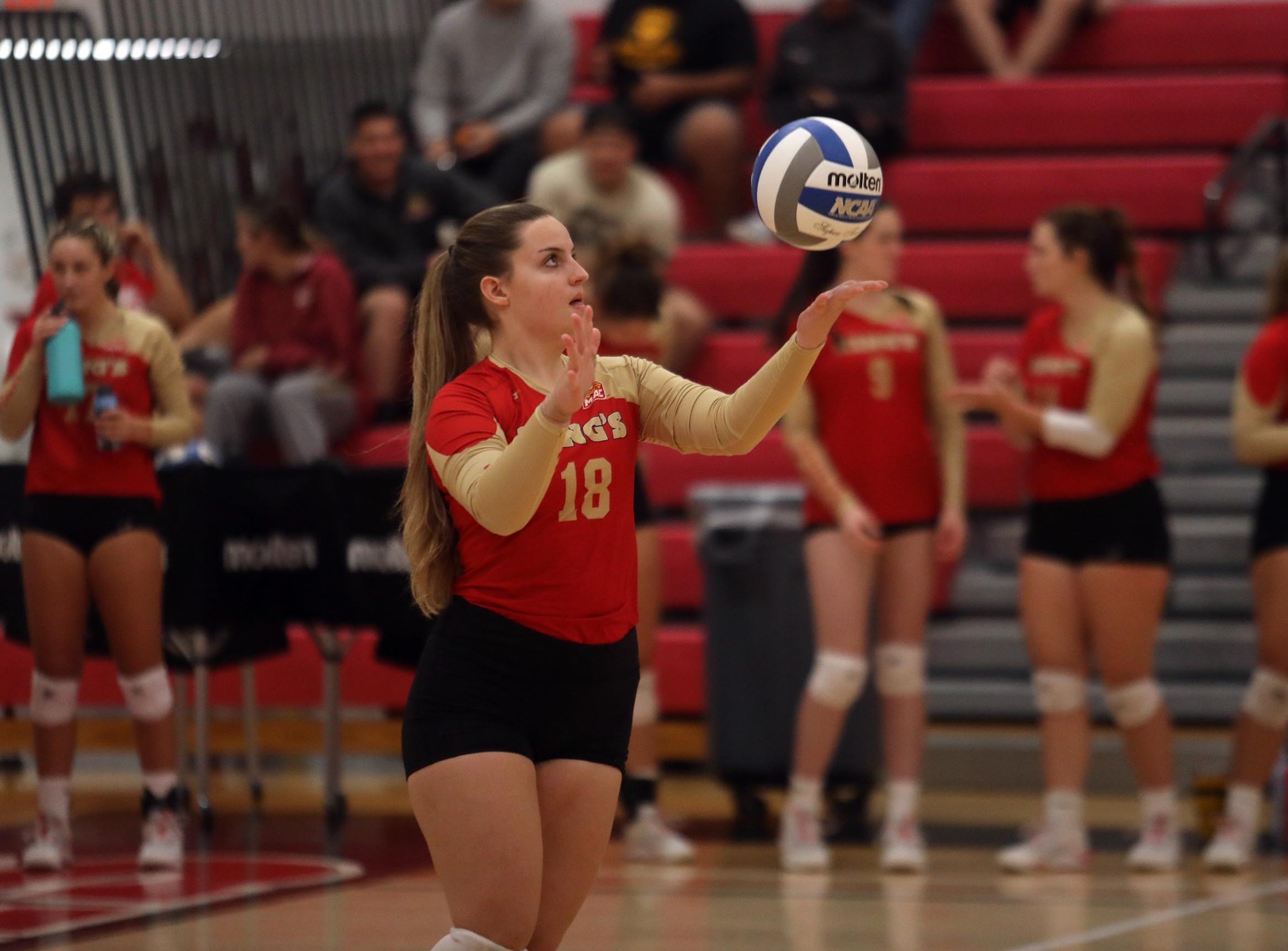 Morgan Bryant - Women's Volleyball - King's College Athletics