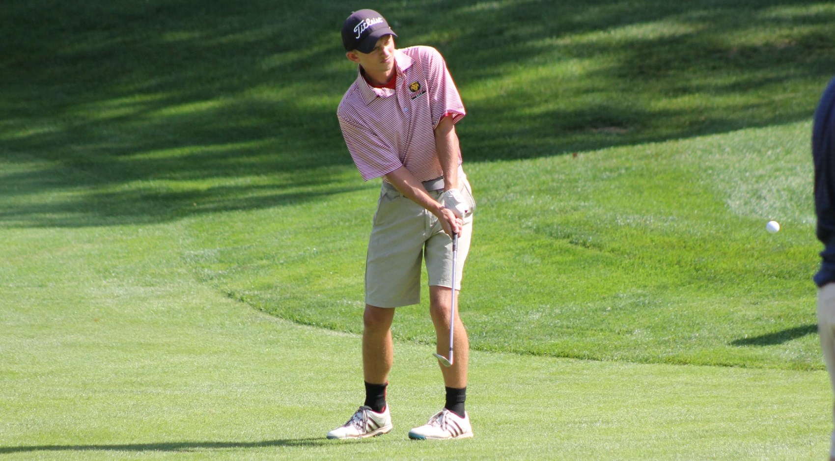 Joe Petrillo - Men's Golf - King's College Athletics