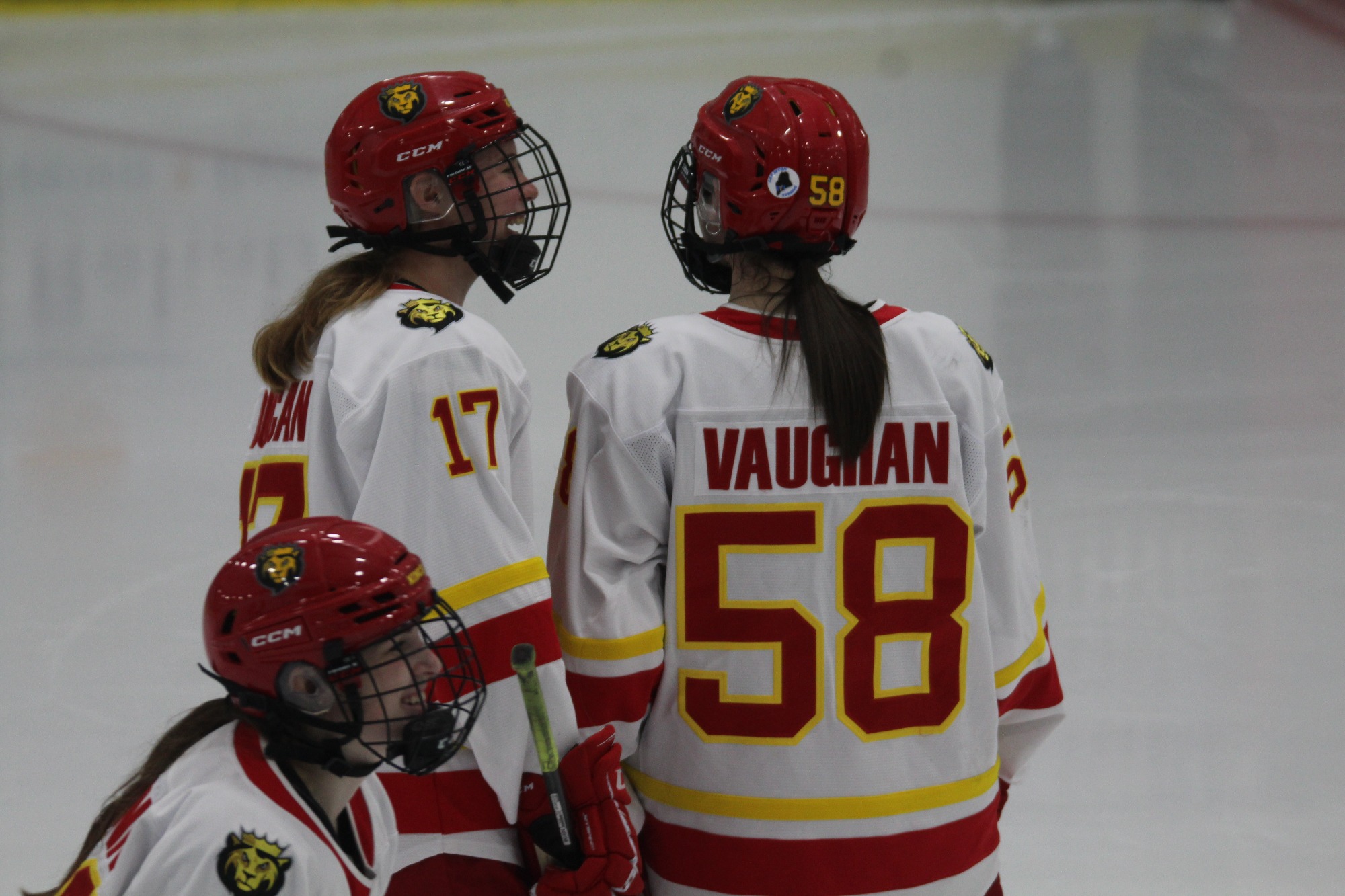 Women's Ice Hockey Breaks Single-Season Wins Record After Beating ...