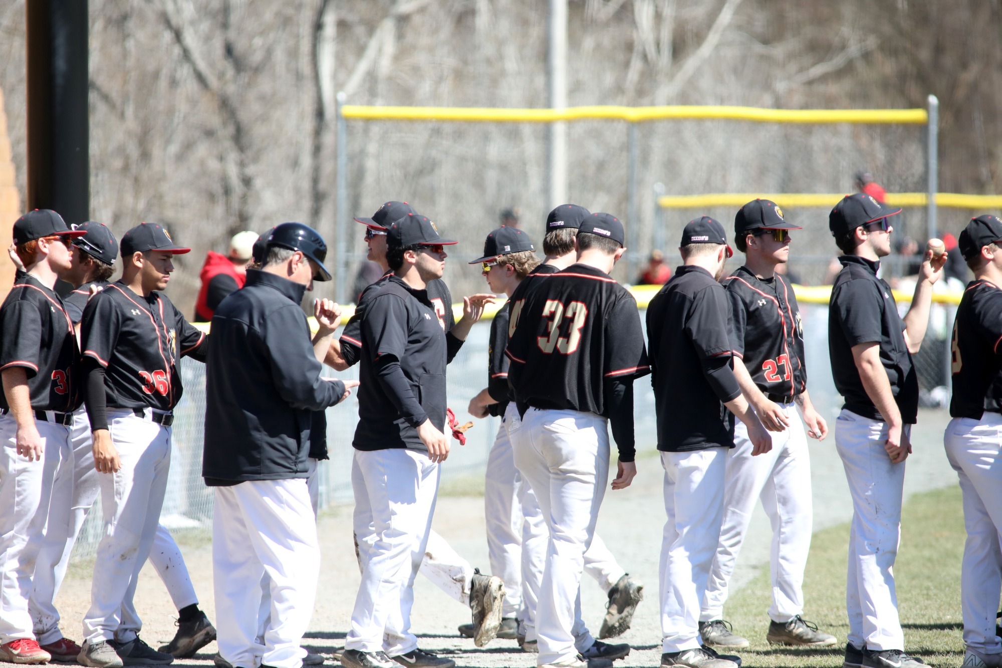 Baseball Drops Last Game of MAC Freedom Series Against Lebanon Valley ...