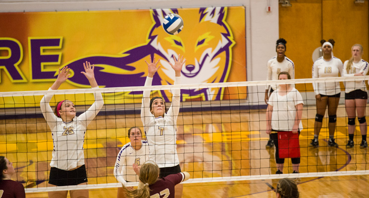 Kaitlyn Haase - 2021 - Volleyball - Knox College Athletics