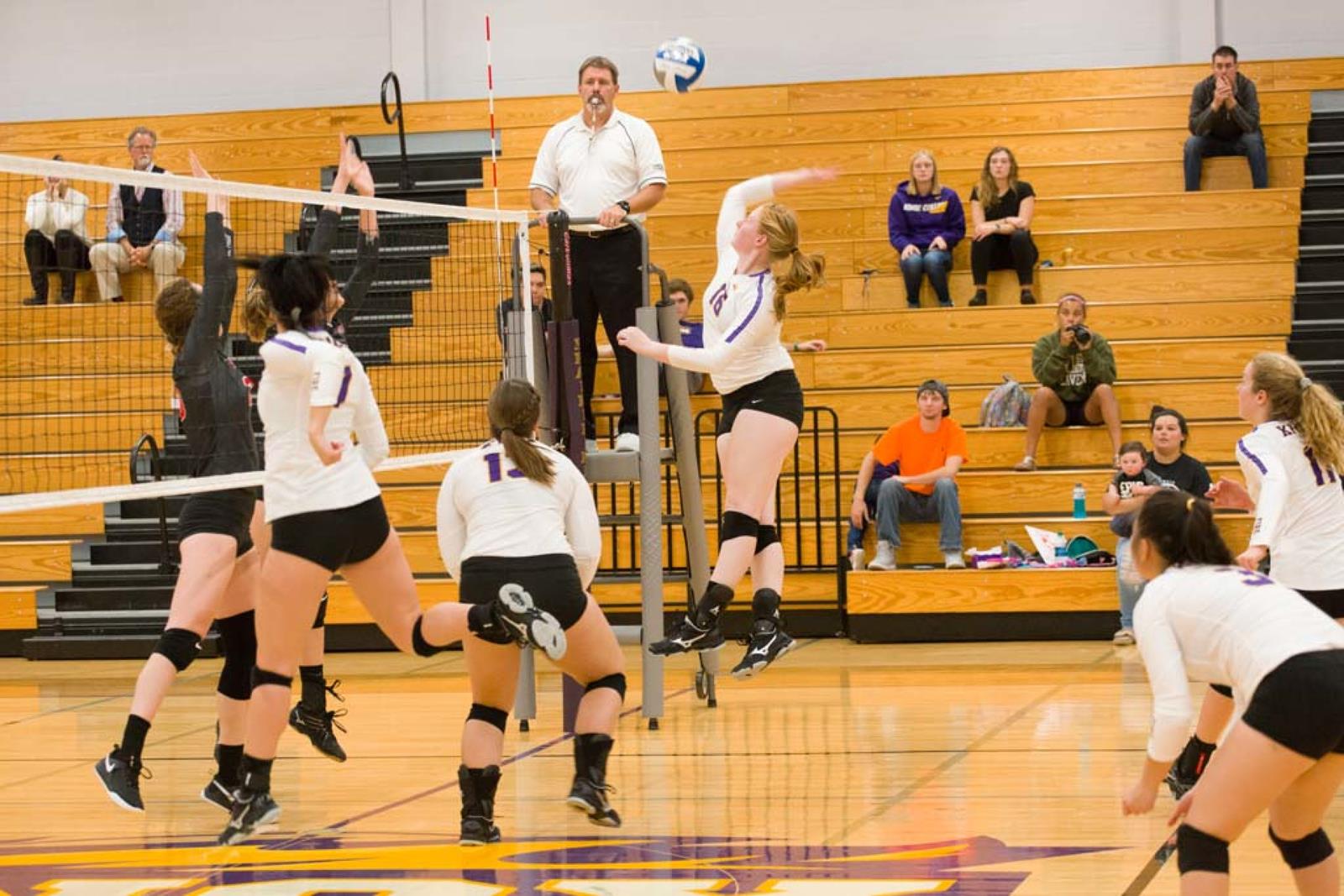 Autumn Rapp - 2022 - Volleyball - Knox College Athletics