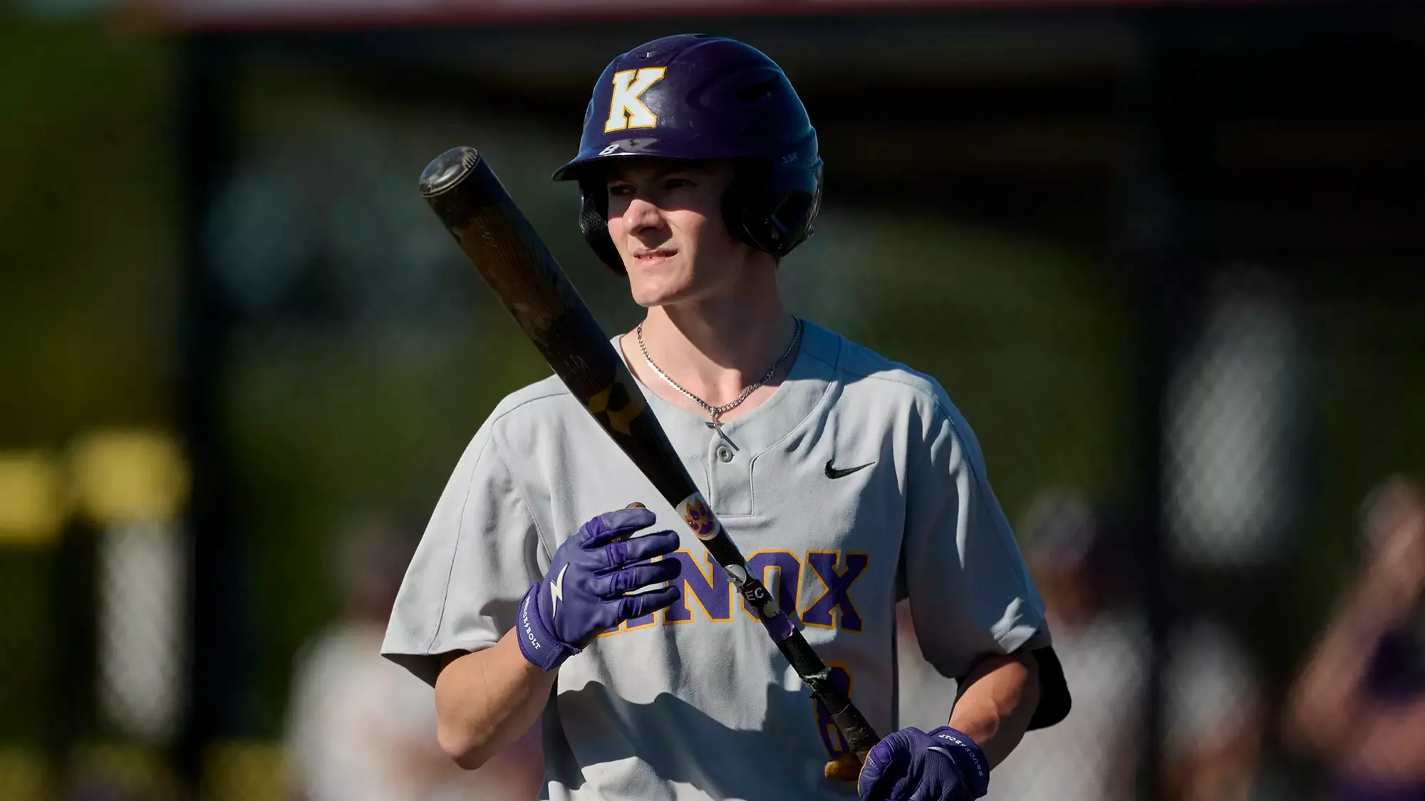 Baseball 2025 Spring Schedule Announced - Knox College Athletics