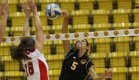 Holly Knight - Volleyball - Kennesaw State University Athletics