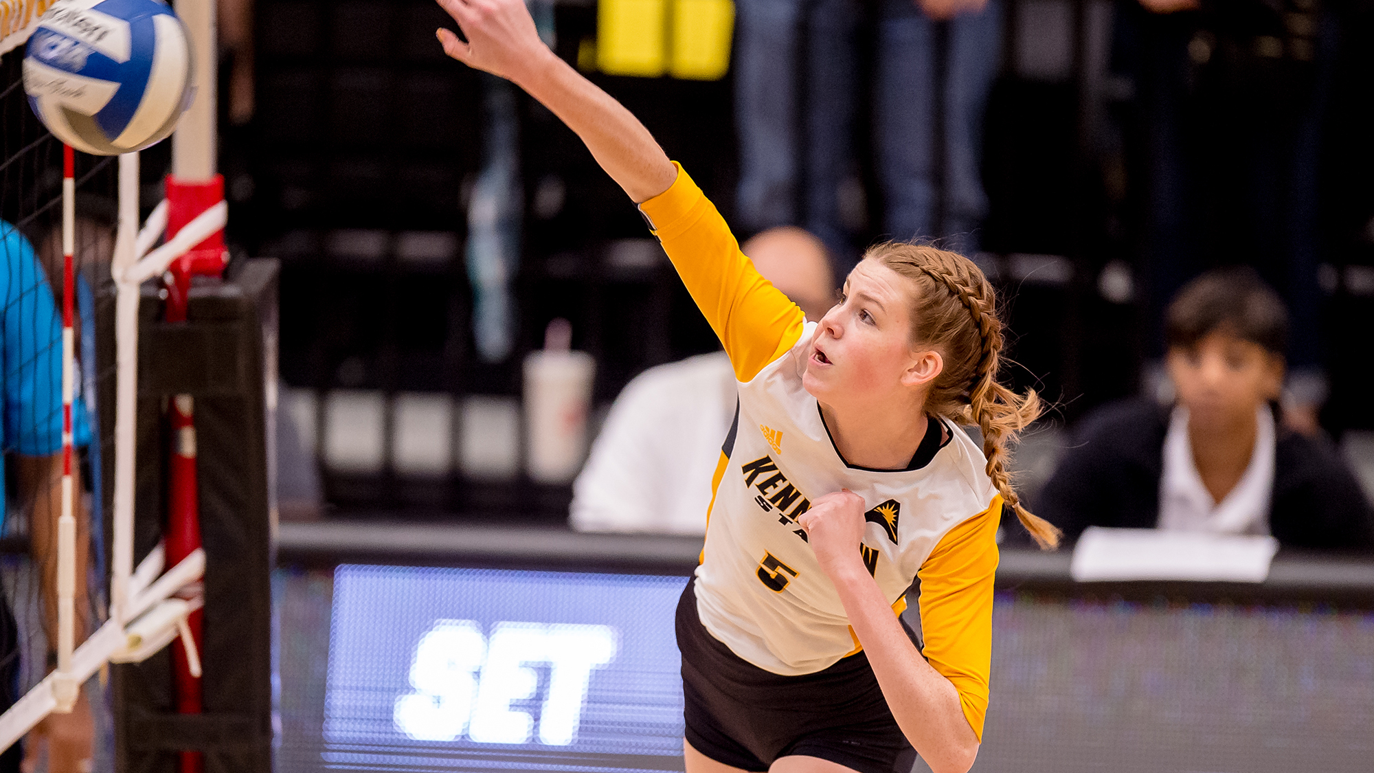 Madeline Johnson - Volleyball - Kennesaw State University Athletics
