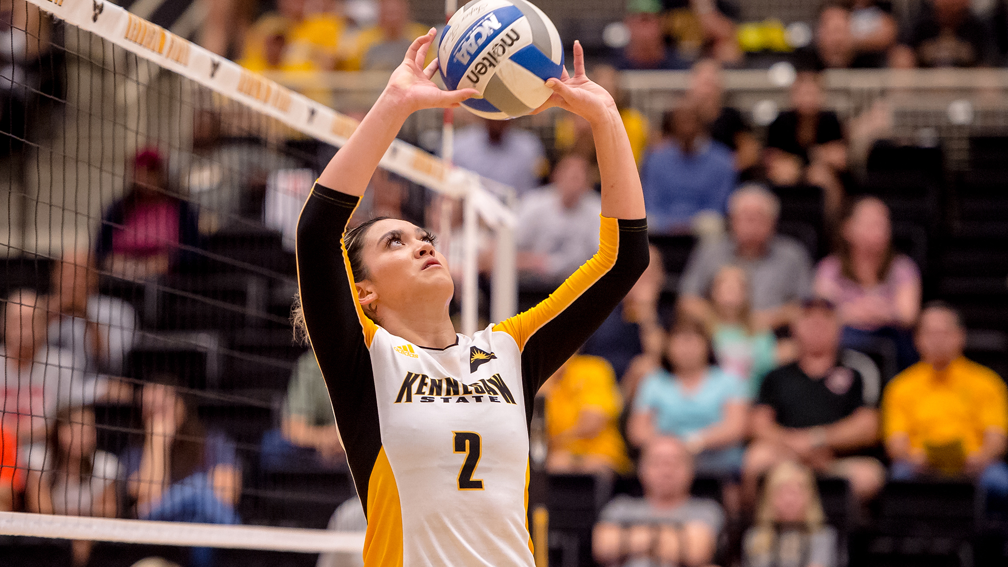 Lexi Broadwater - Volleyball - Kennesaw State University Athletics