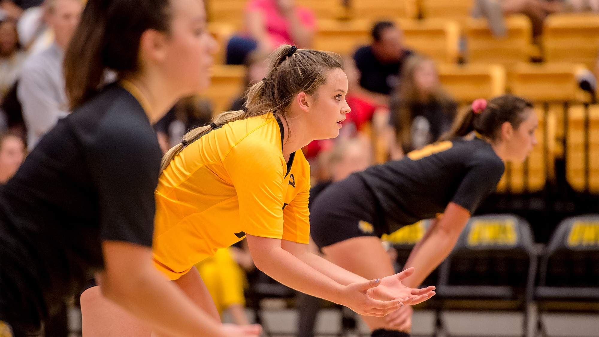 Karlee Groover - Volleyball - Kennesaw State University Athletics