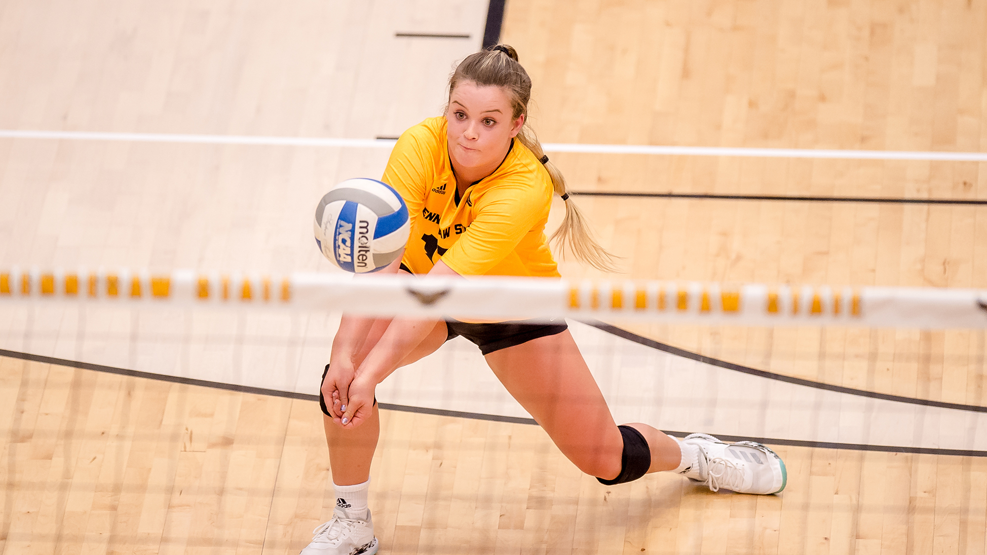 Karlee Groover - Volleyball - Kennesaw State University Athletics