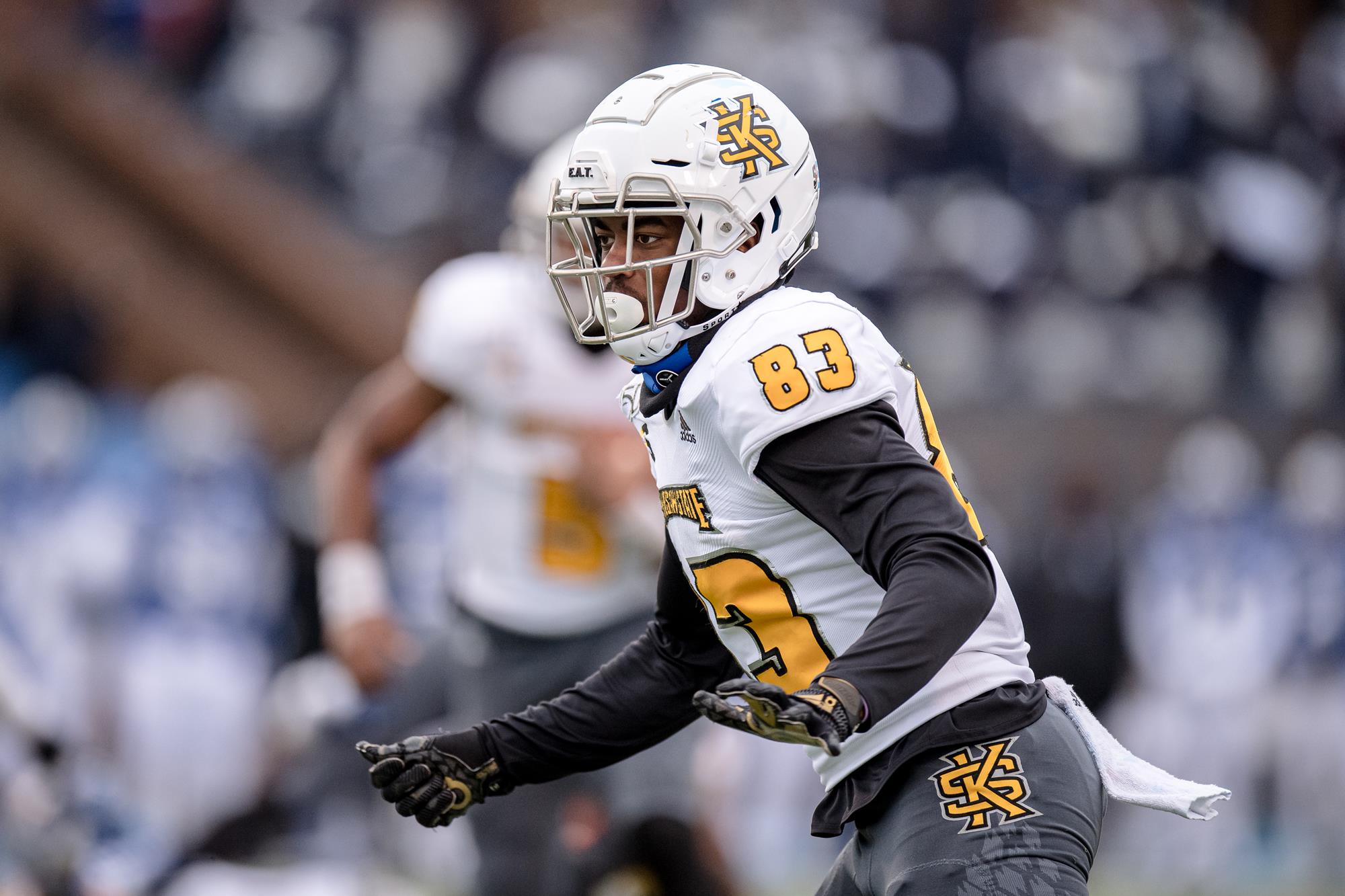 Will Haigler - Football - Kennesaw State University Athletics