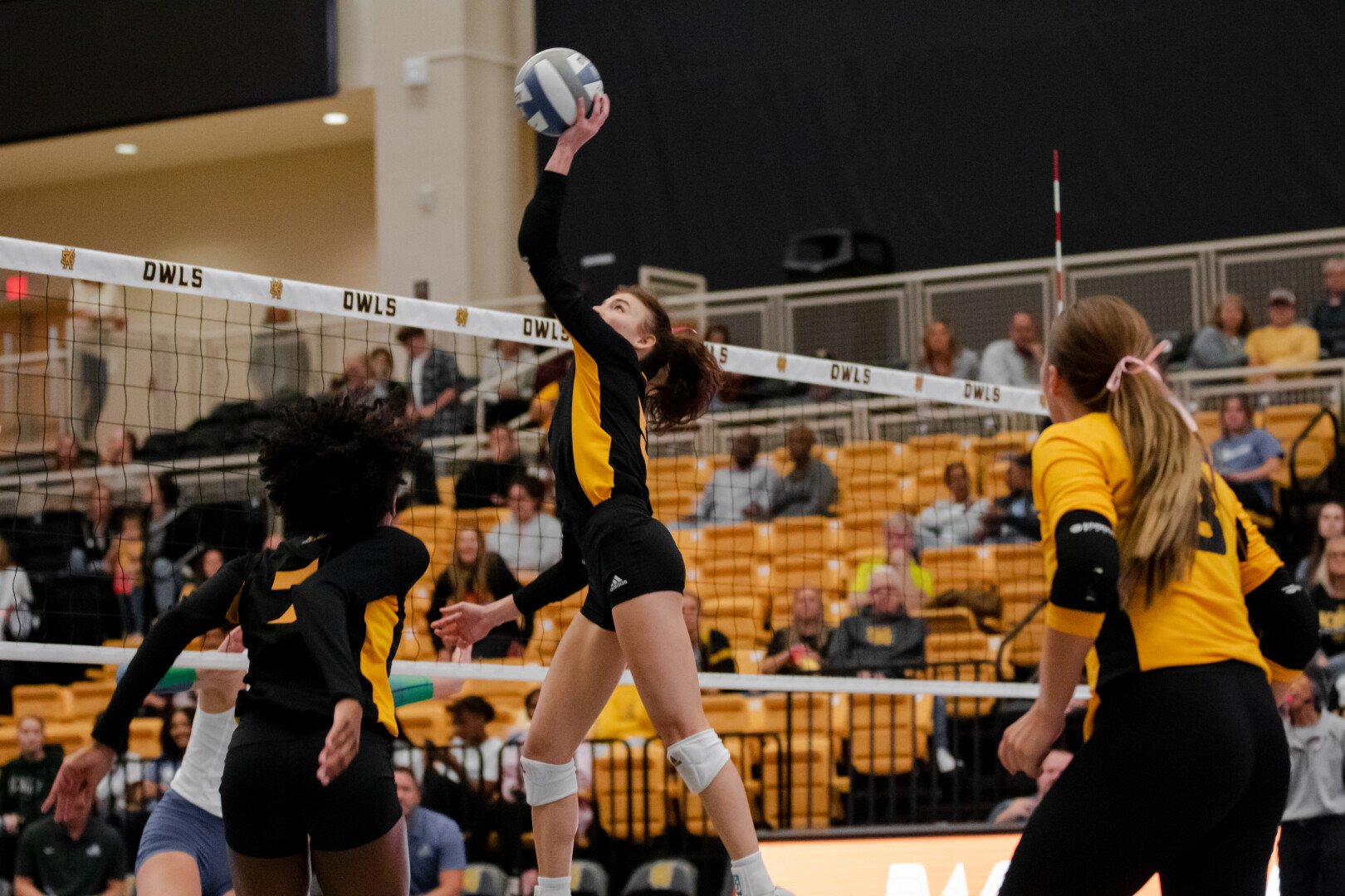 McKinley Ferguson - Volleyball - Kennesaw State University Athletics