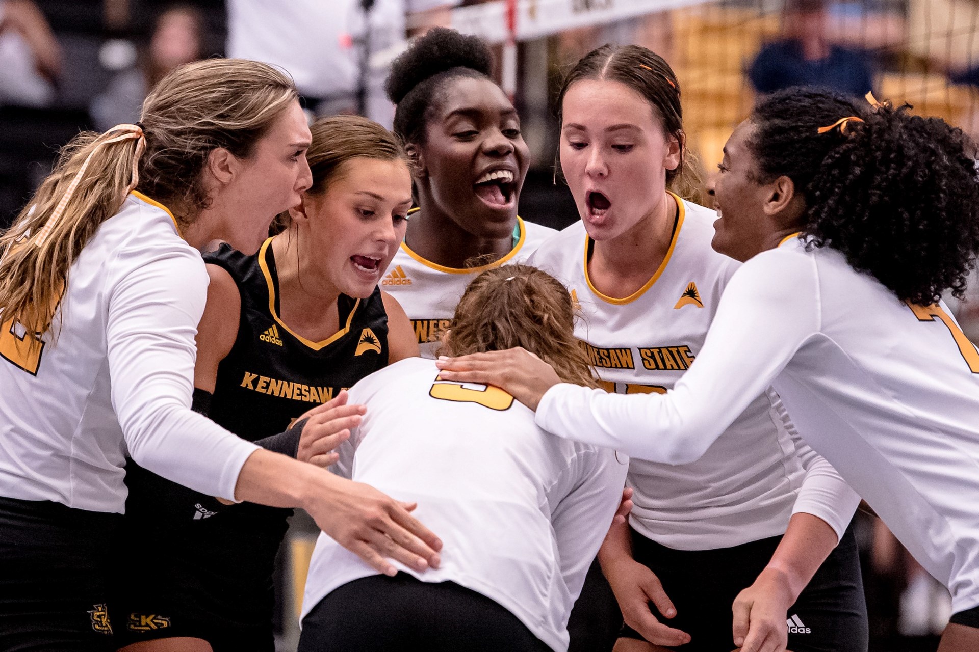 Owls Tame Lions 3-1 in ASUN Opener - Kennesaw State University Athletics