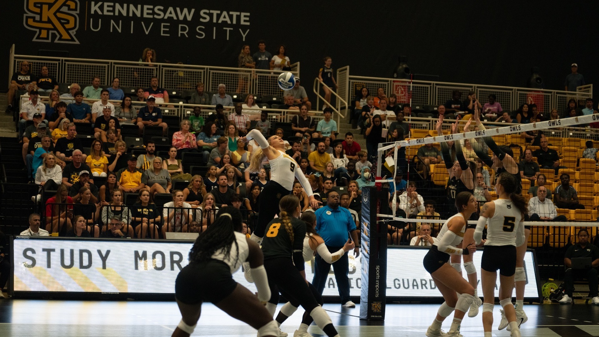 Lanie Vantrease - Volleyball - Kennesaw State University Athletics