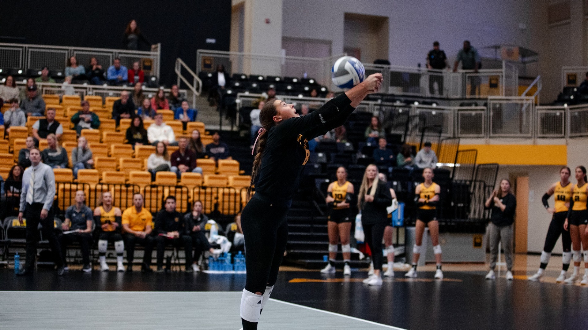 Shelby Dennis - Volleyball - Kennesaw State University Athletics