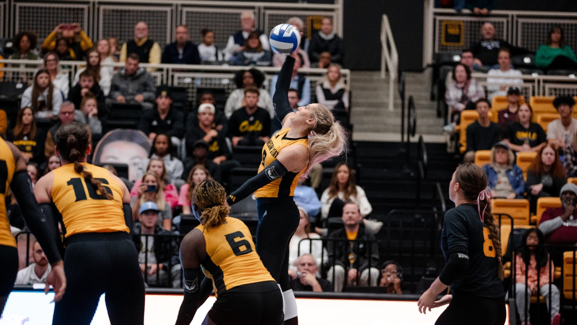 Lanie Vantrease - Volleyball - Kennesaw State University Athletics