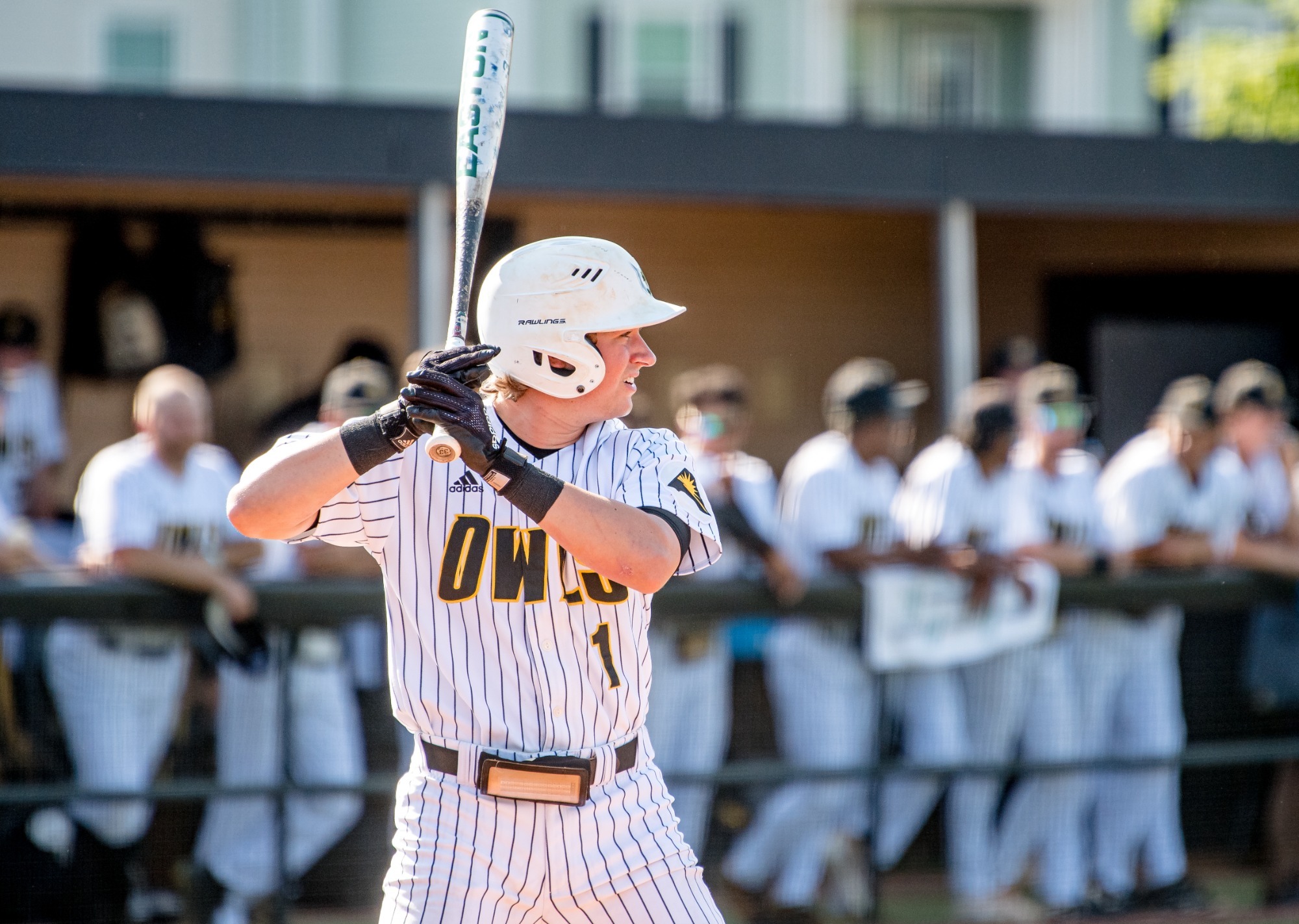 Hanson Drives in Six as Owls Run-Rule JU, 13-3 - Kennesaw State ...