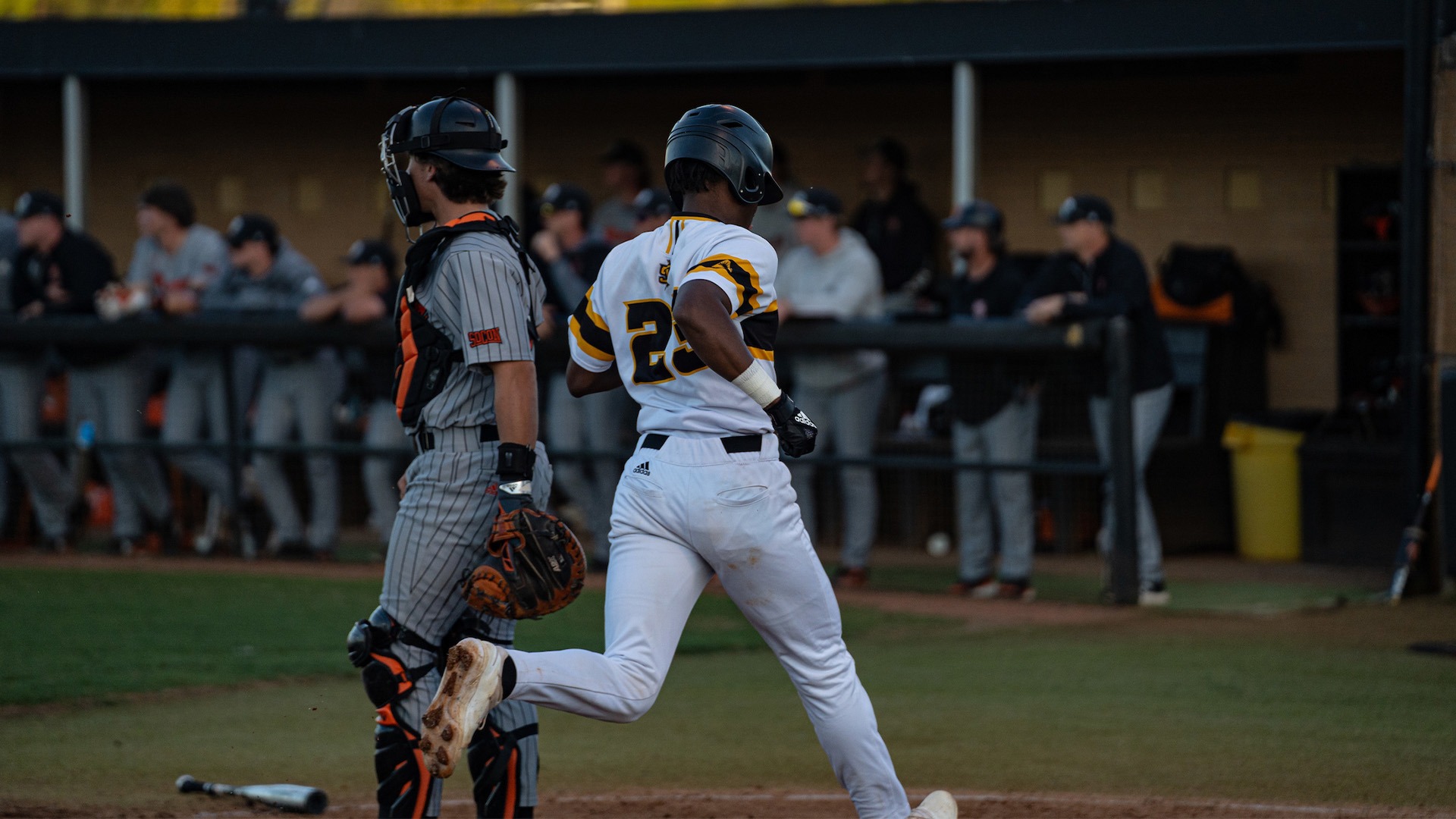 Nick Hassan - Baseball - Kennesaw State University Athletics