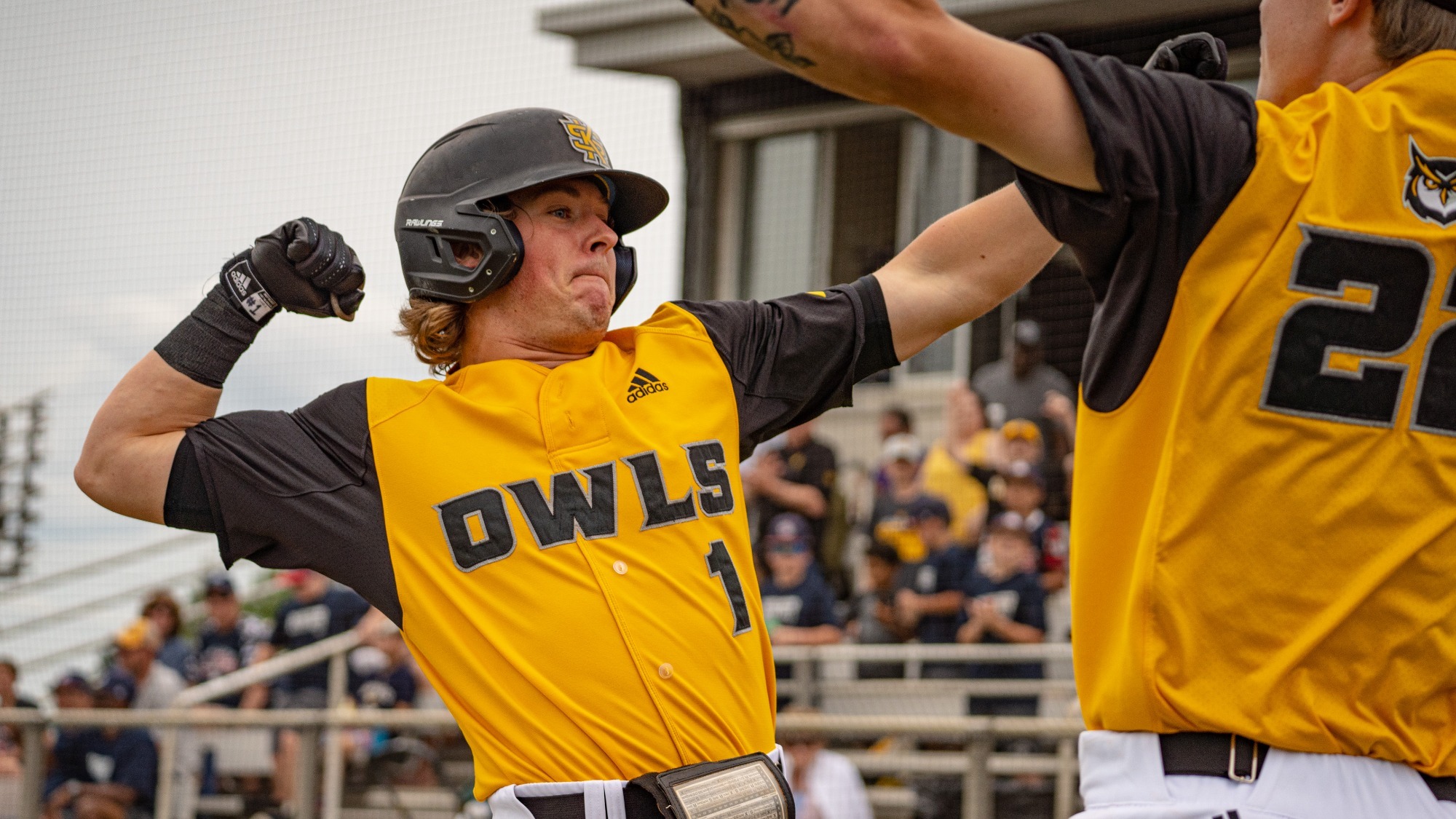 Offense Explodes for 20 Hits to Sweep Jacksonville - Kennesaw State ...