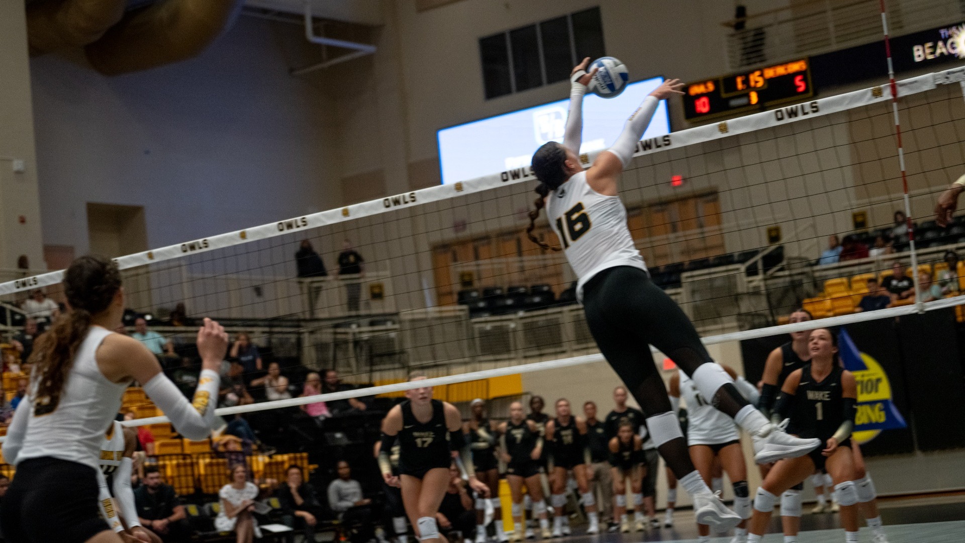 Emma Schurfranz - Volleyball - Kennesaw State University Athletics
