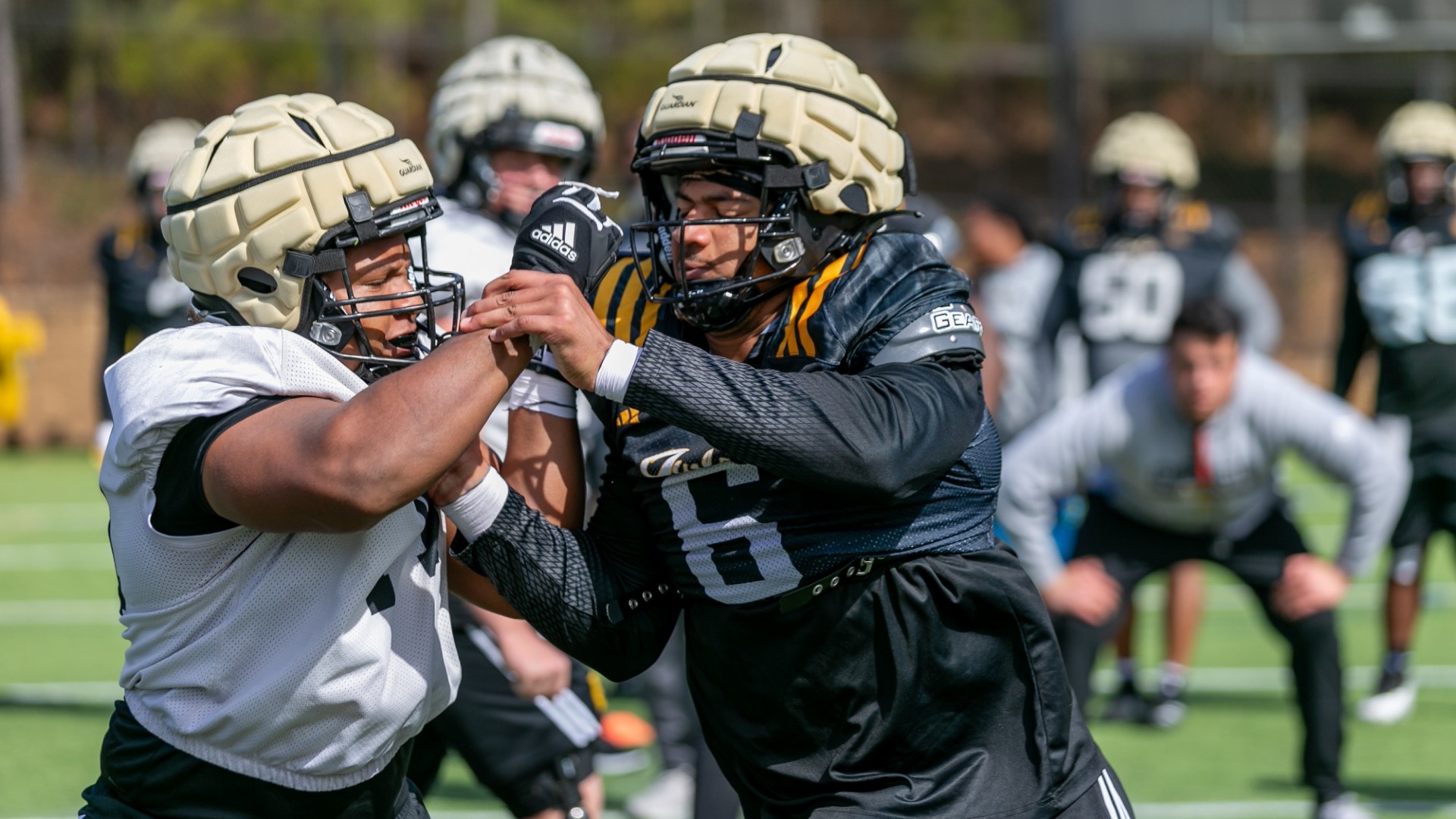 Parliament Profile: Common Bond, Uncommon Journey - Kennesaw State ...