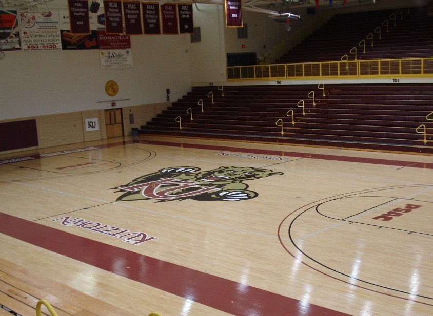 Nicole Donahue - 2014-2015 - Women's Basketball - Kutztown University ...