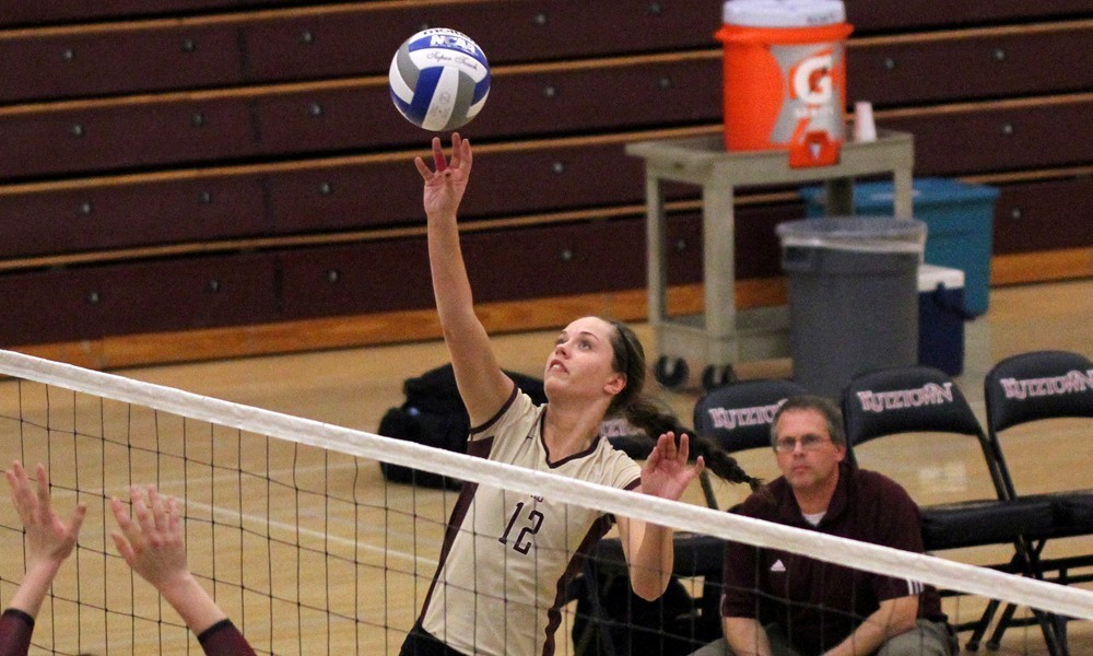 Audrey Stringer - 2015 - Women's Volleyball - Kutztown University Athletics