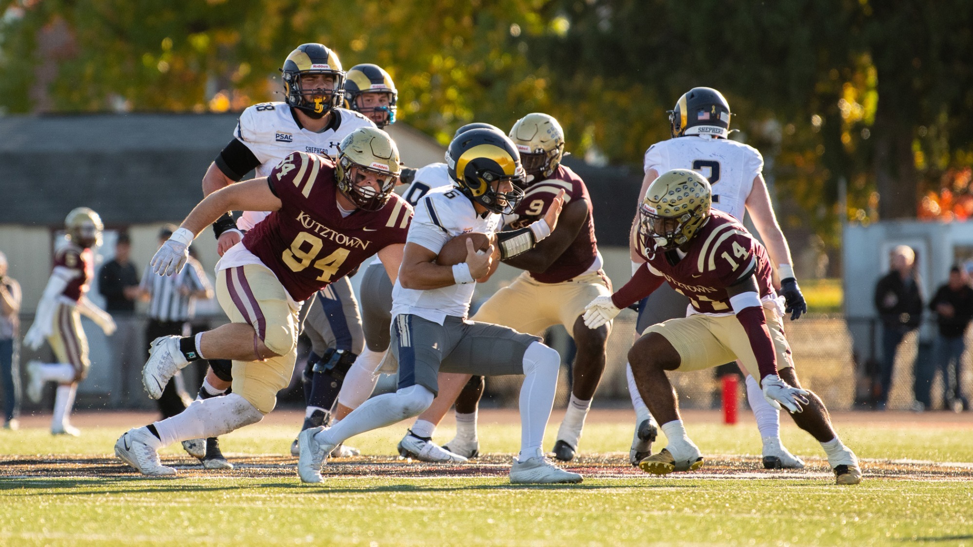 Golden Bears earn highest ranking in program history, No. 5 in latest ...