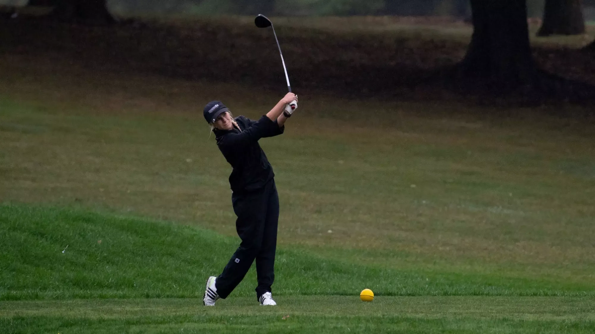 Golden Bears get balanced scoring to sit fourth after opening round of ...