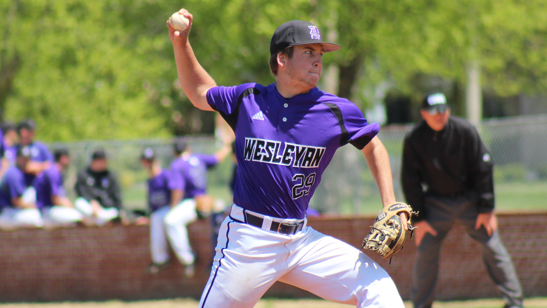 Alex Franzen - Baseball - Kentucky Wesleyan College Athletics