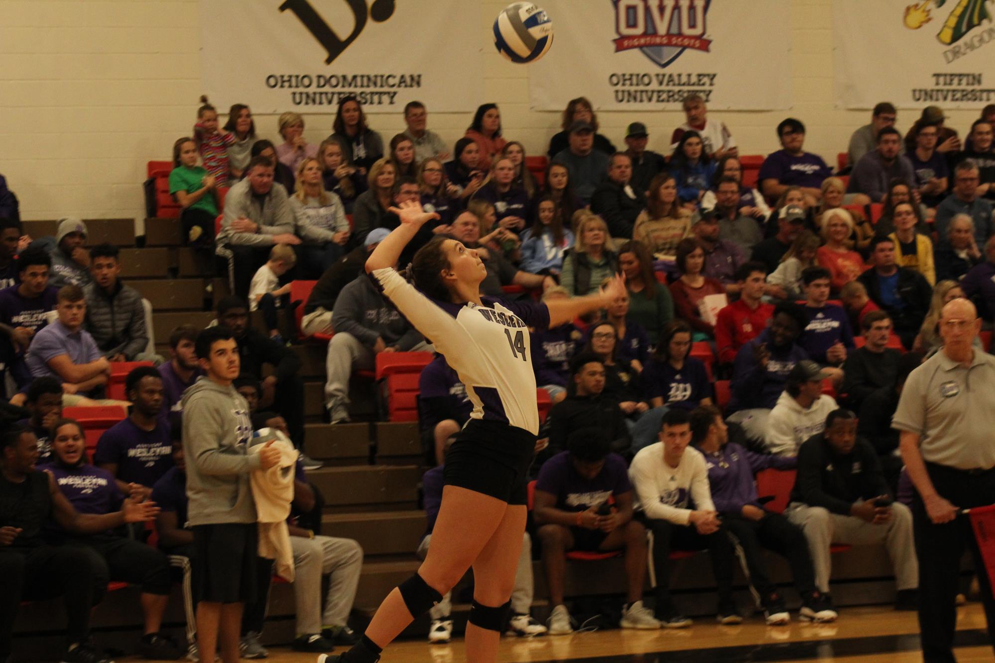 Panthers' Season Ends in G-MAC Semi-Finals - Kentucky Wesleyan College ...