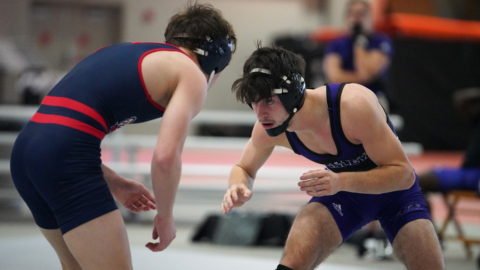 Austin Cook - Wrestling - Kentucky Wesleyan College Athletics