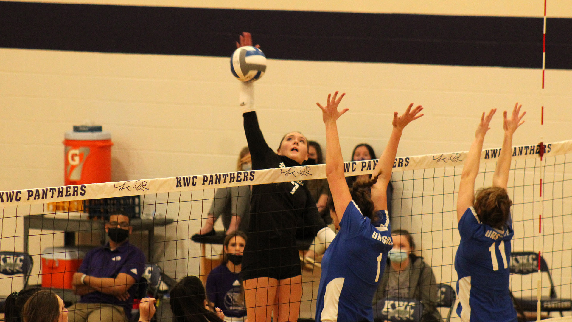 Lilly Trump - Volleyball - Kentucky Wesleyan College Athletics