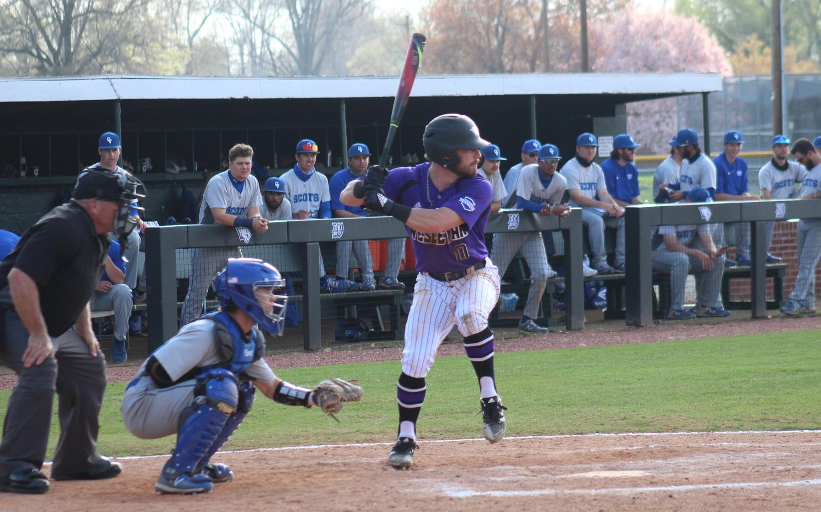 Robert Chayka - Baseball - Kentucky Wesleyan College Athletics