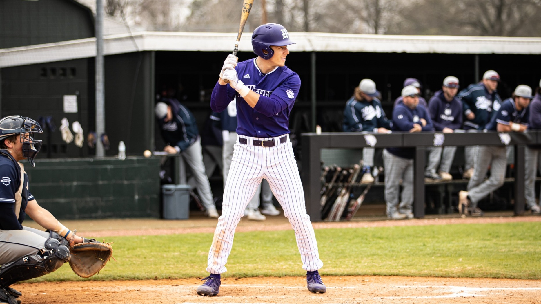 Noah Davis - Baseball - Kentucky Wesleyan College Athletics