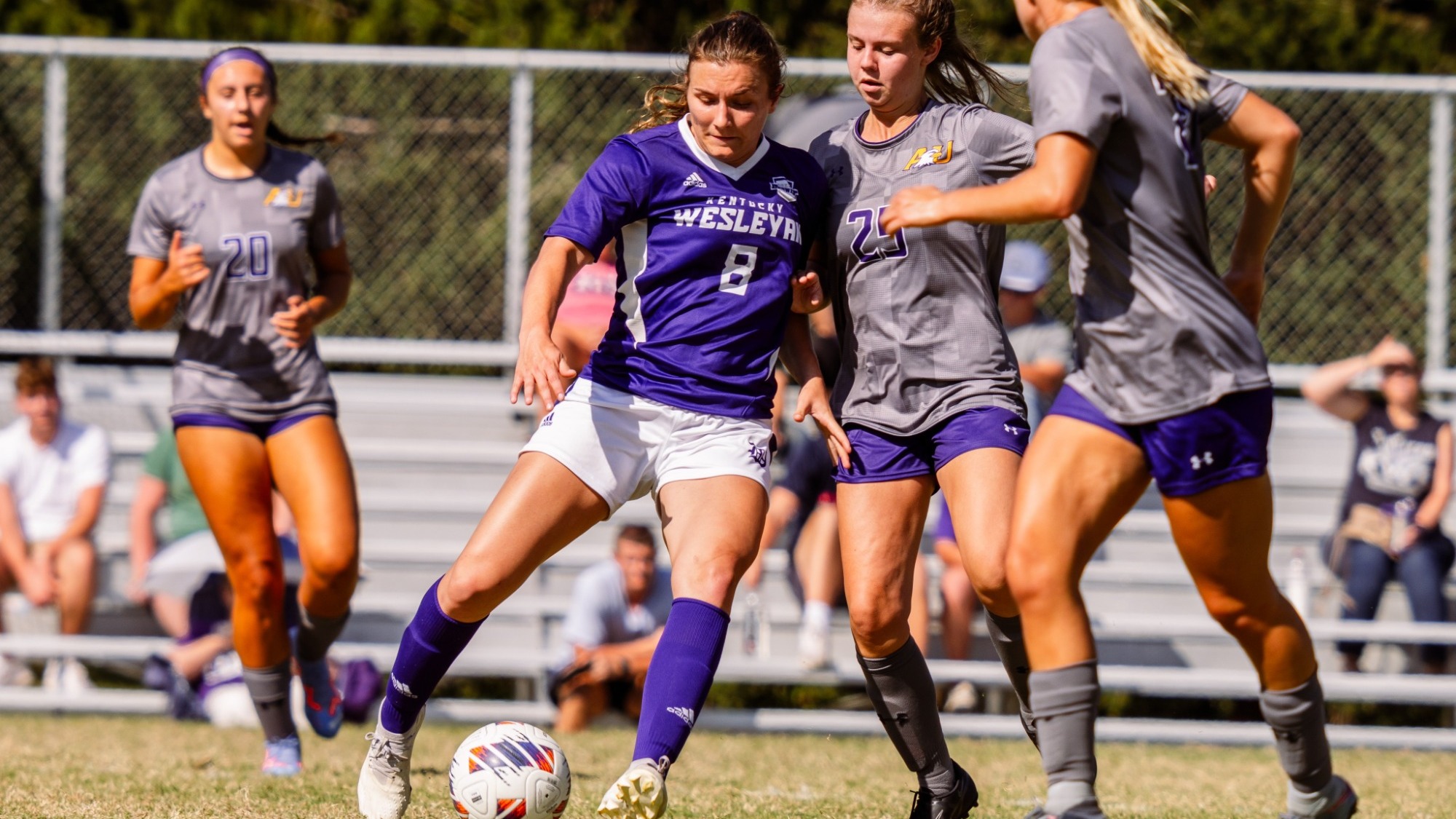 Ashland attack too much for Panthers - Kentucky Wesleyan College Athletics