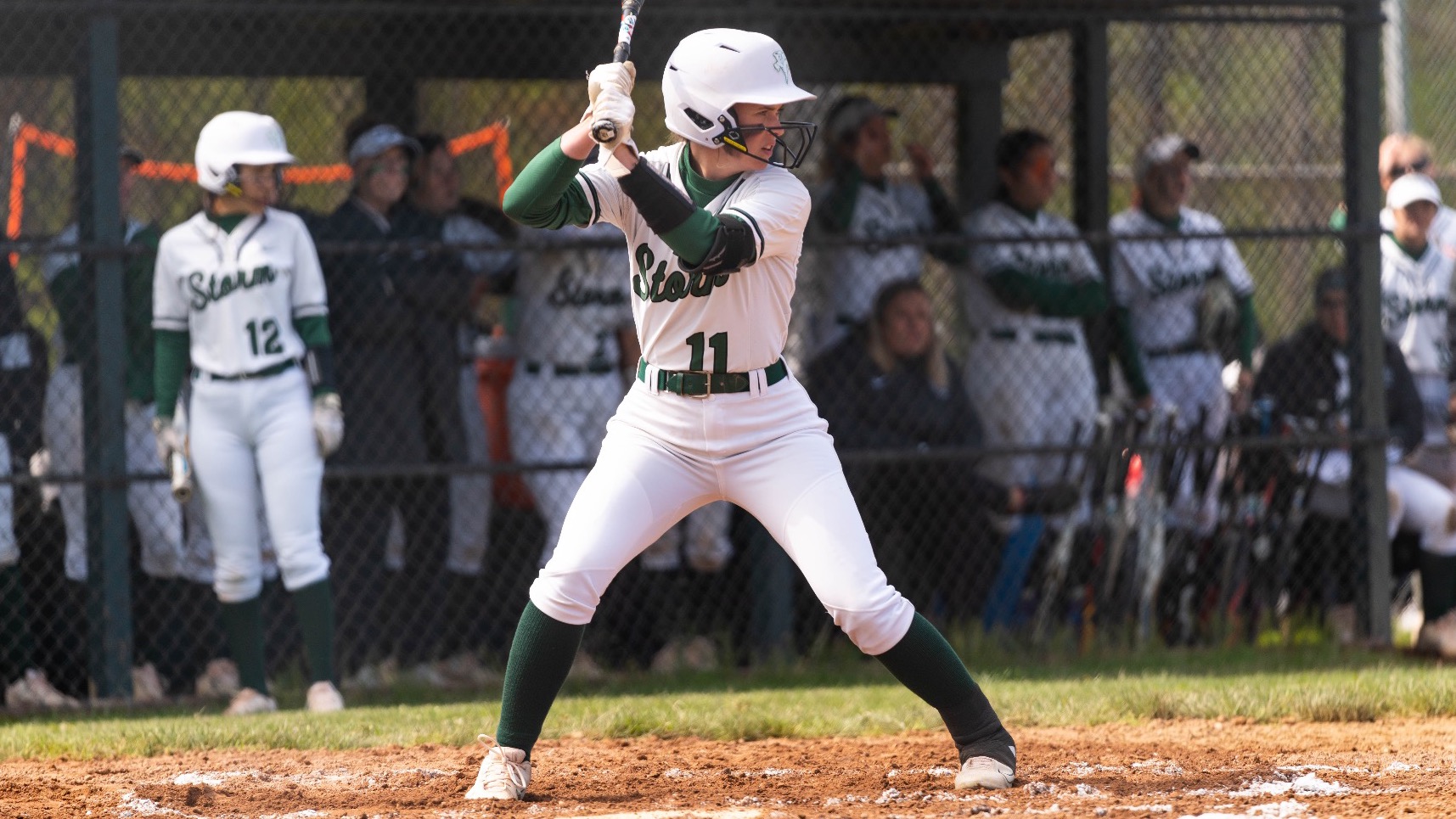 Strong Pitching Helps Softball Split With Trevecca At Home - Lake Erie ...