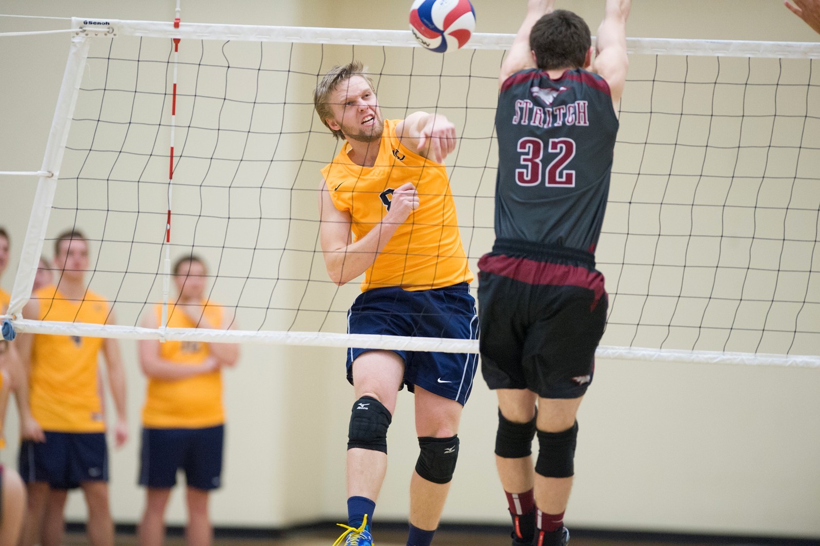 Tyler Boyce - 2014 - Men's Volleyball - Lakeland University Athletics