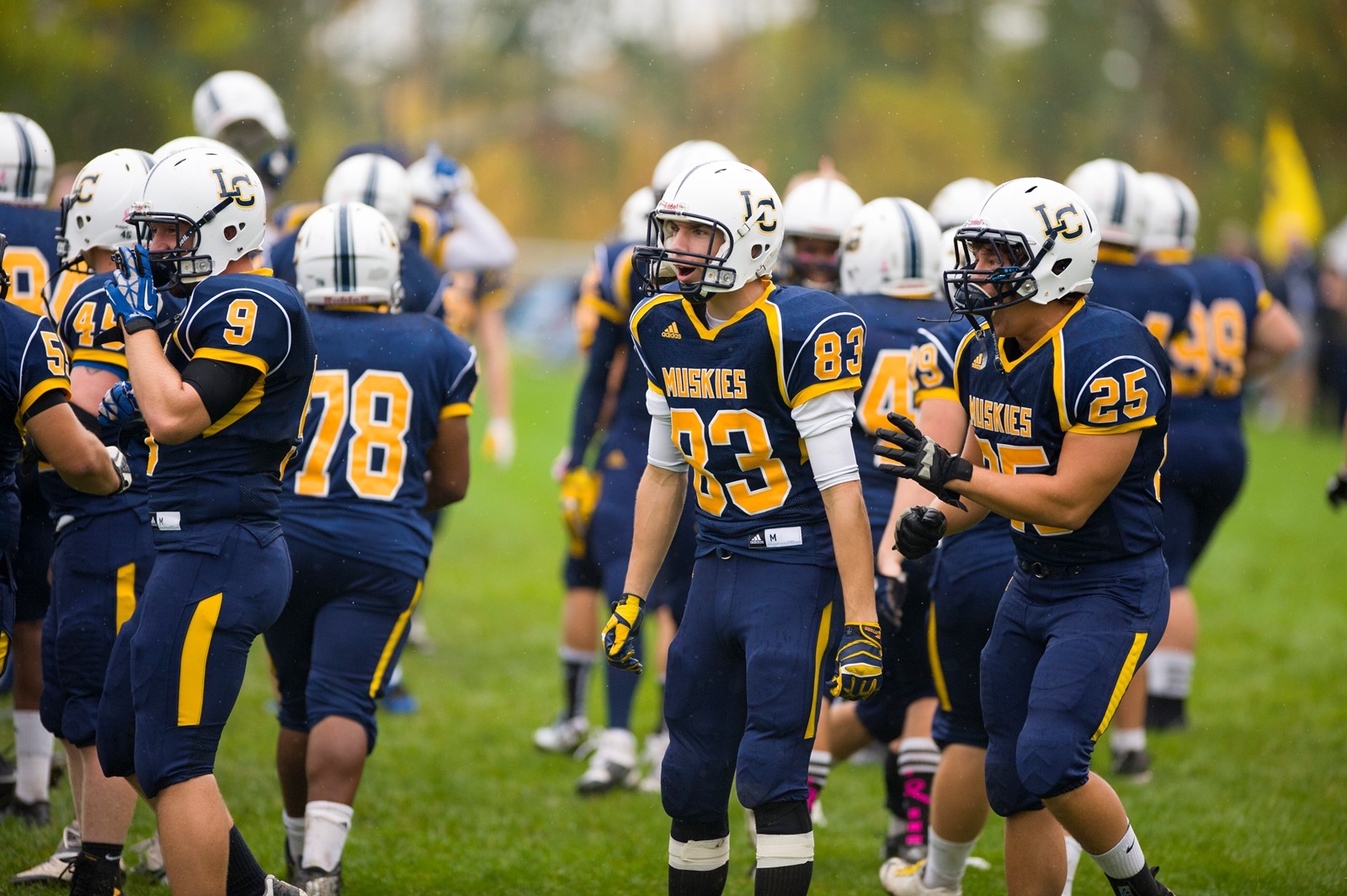 Robert Metter - 2013 - Football - Lakeland University Athletics