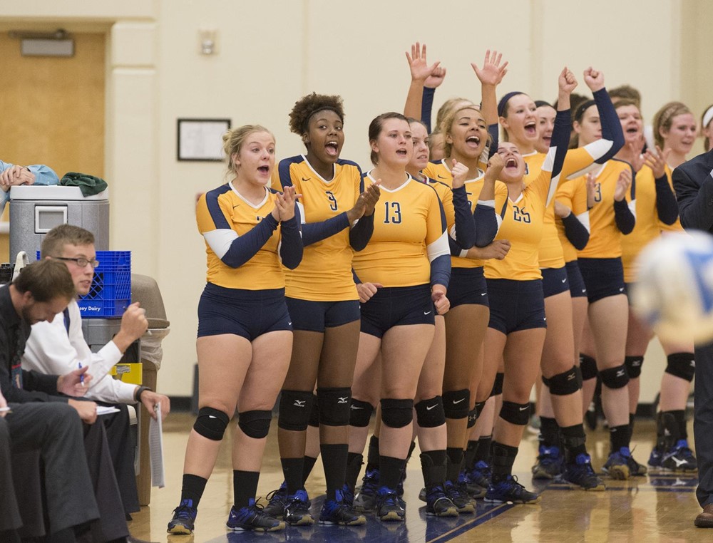 Jayda Johnson - 2015 - Women's Volleyball - Lakeland University Athletics