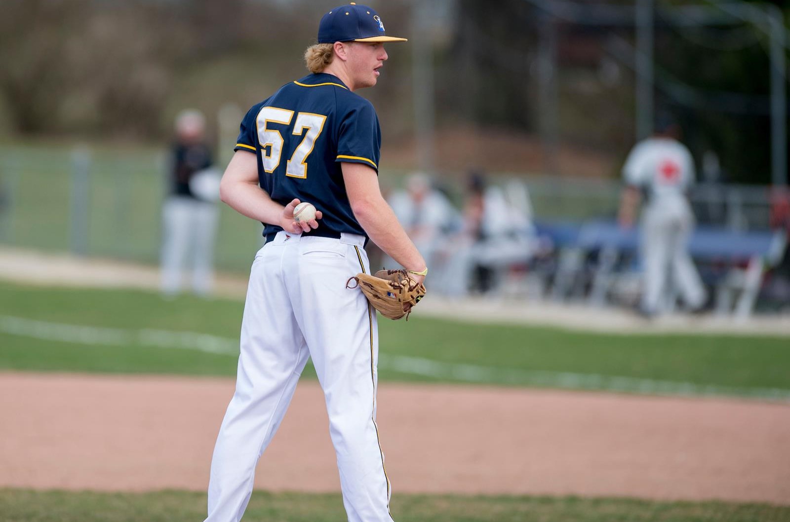 Christian Foss - 2018 - Baseball - Lakeland University Athletics