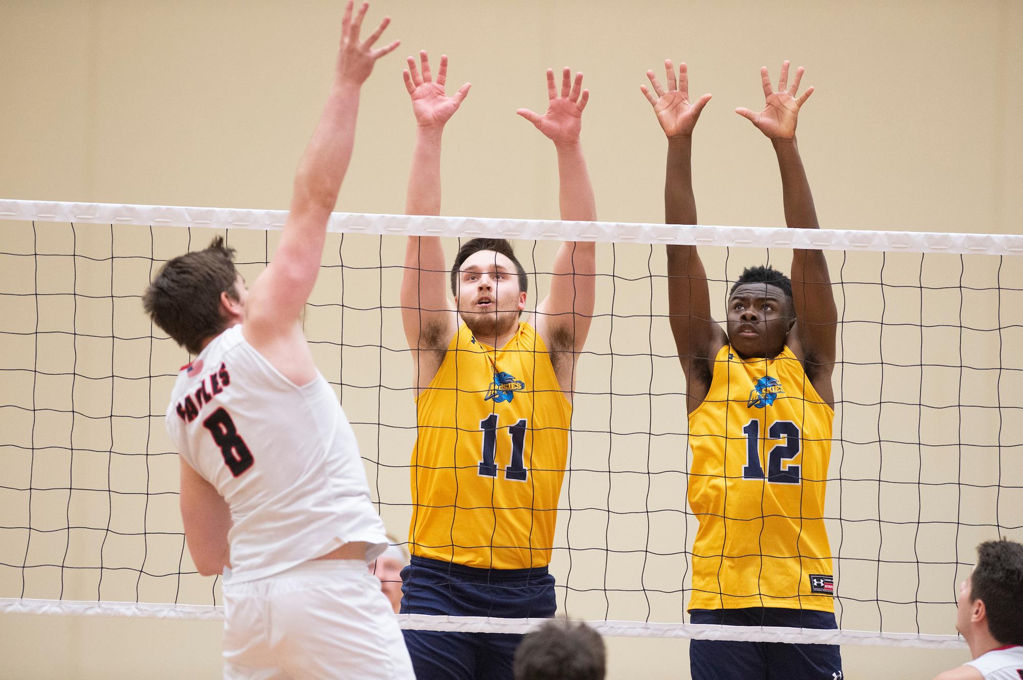 Jesse Peters - 2021 - Men's Volleyball - Lakeland University Athletics